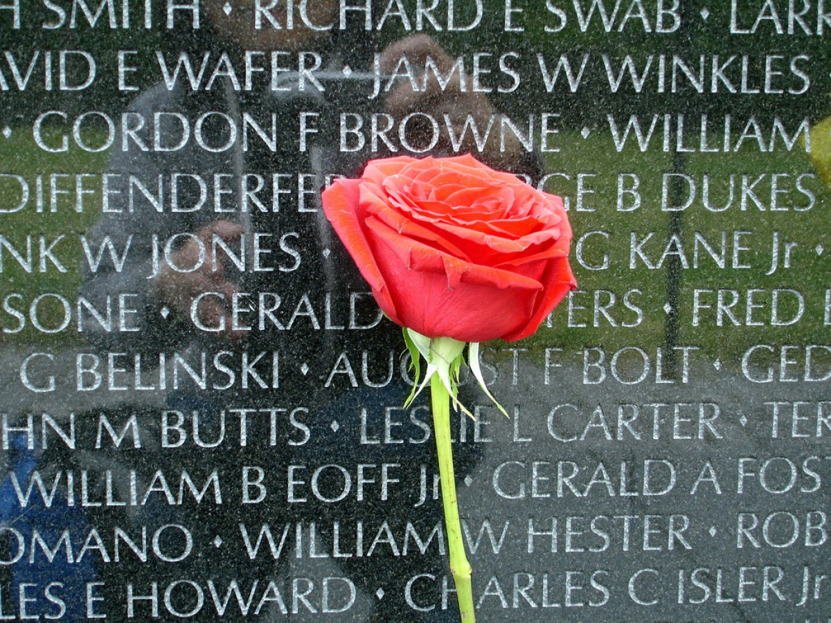 Vietnam: Historians at War by Mark Moyar | NAS