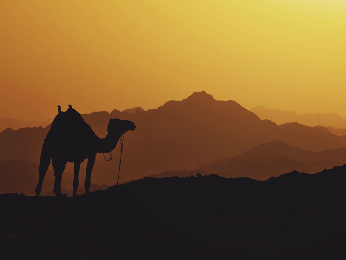 A Gulf in Our Middle East Studies by Marina Ziemnick | NAS