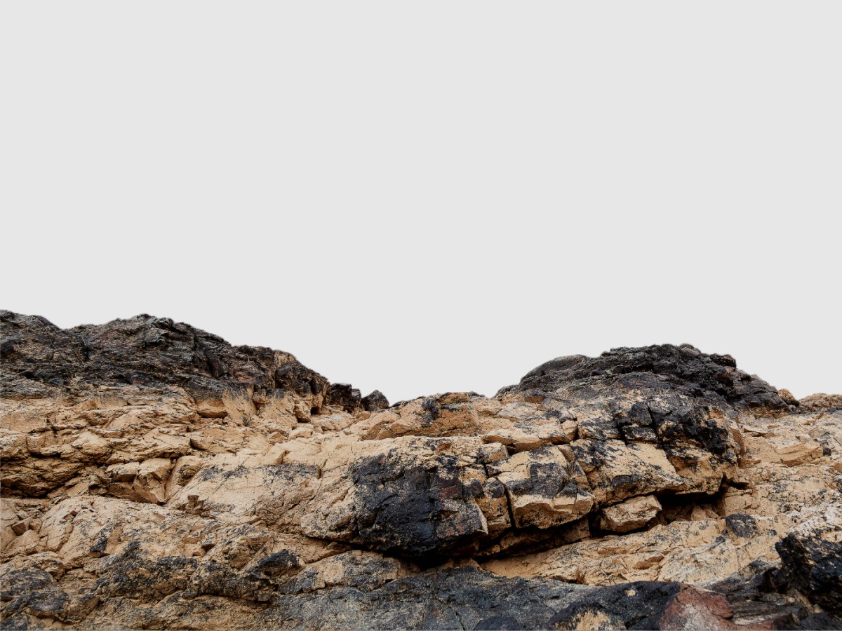 Scott Gerber’s Case in Context by Peter W. Wood | NAS